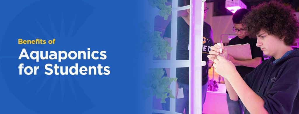 What Is a Learning Pod and How to Start One | CCA