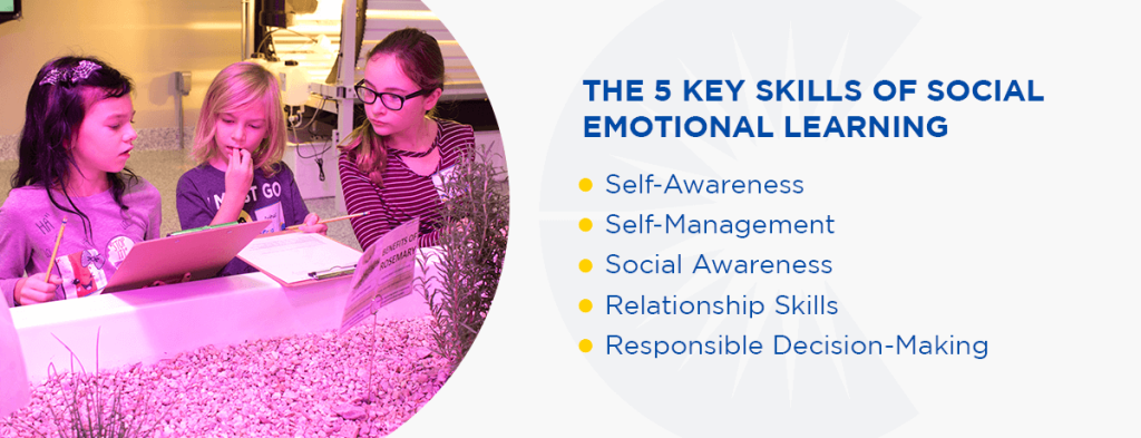 The Importance of Social Emotional Learning in Education | CCA