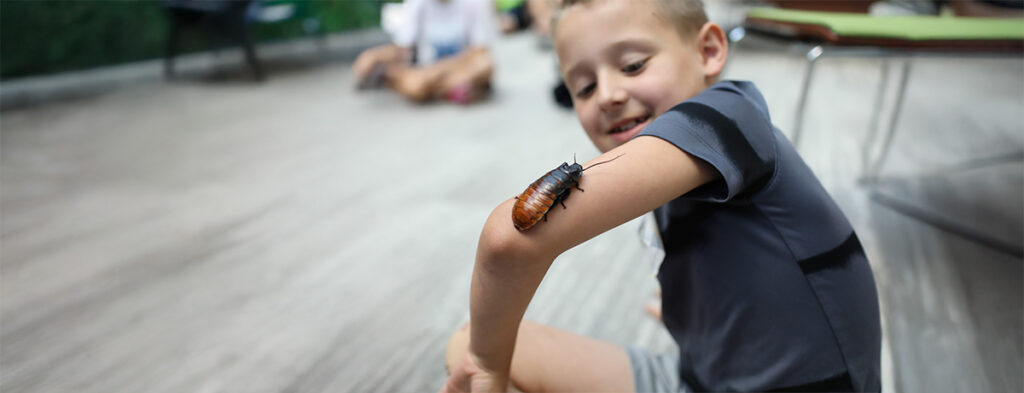 5 STEAM Summer Activity Ideas | CCA