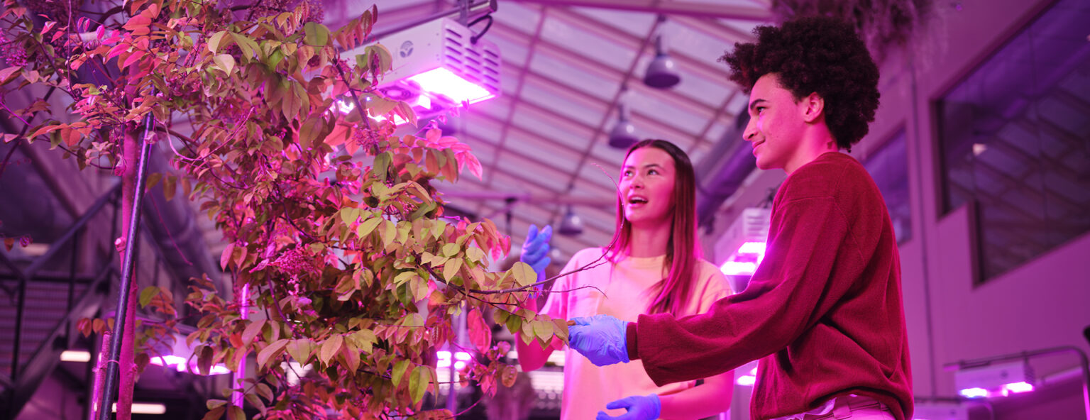 The Importance of High School Education | CCA