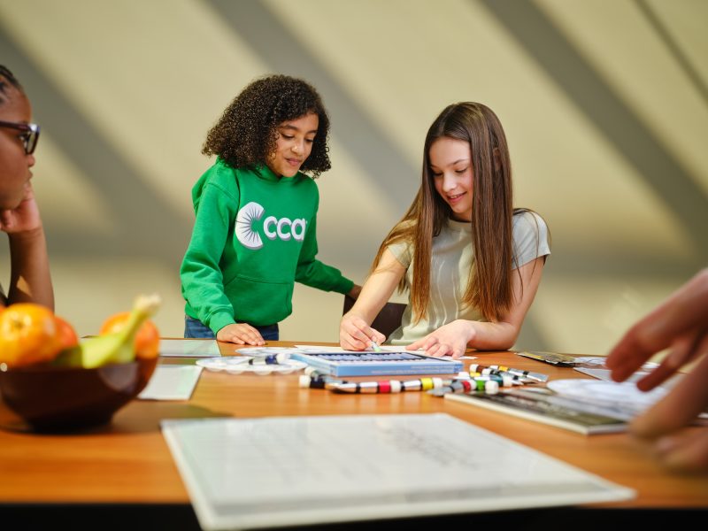 Academic Programs - K-12 Online Charter School | CCA