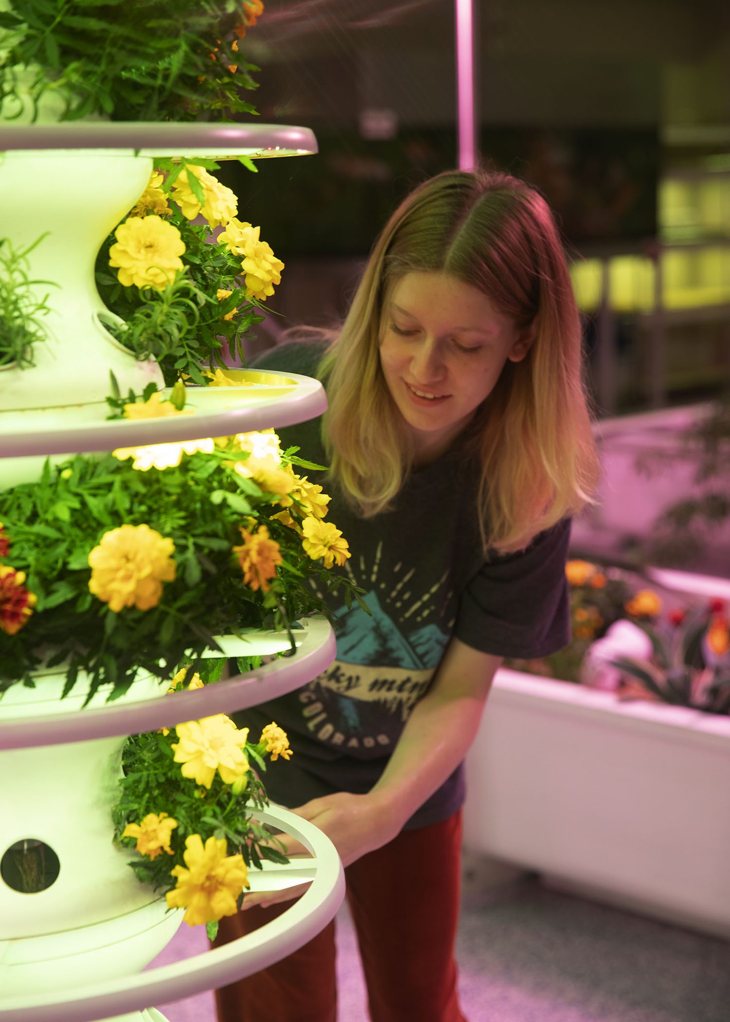 Frequently Asked Questions (FAQ) | CCA