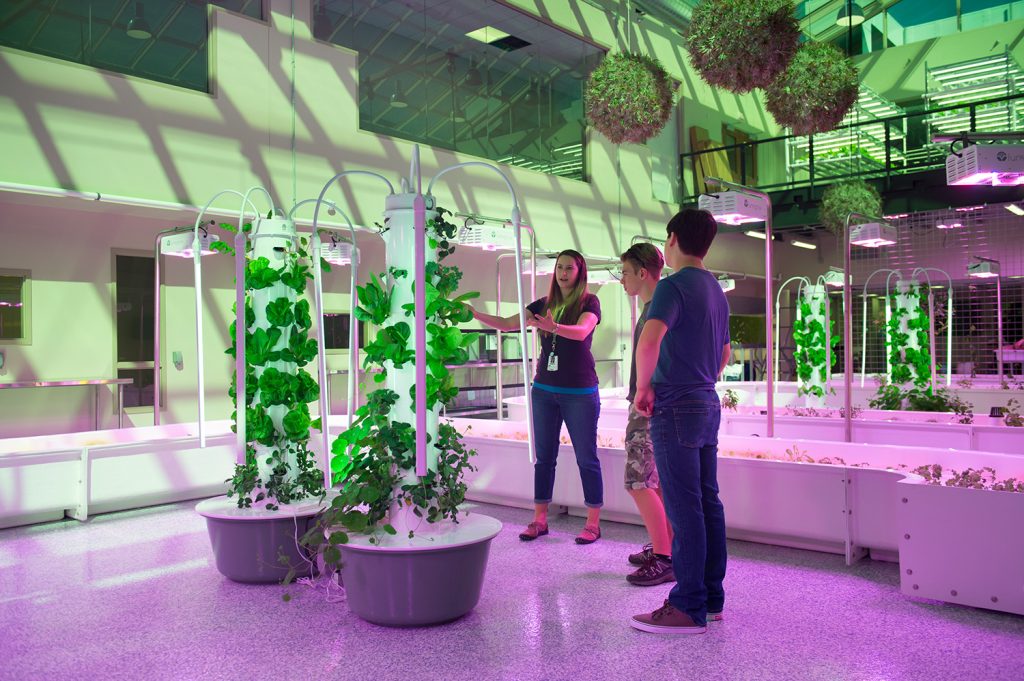 Cyber Charter High School Graduation Requirements | CCA