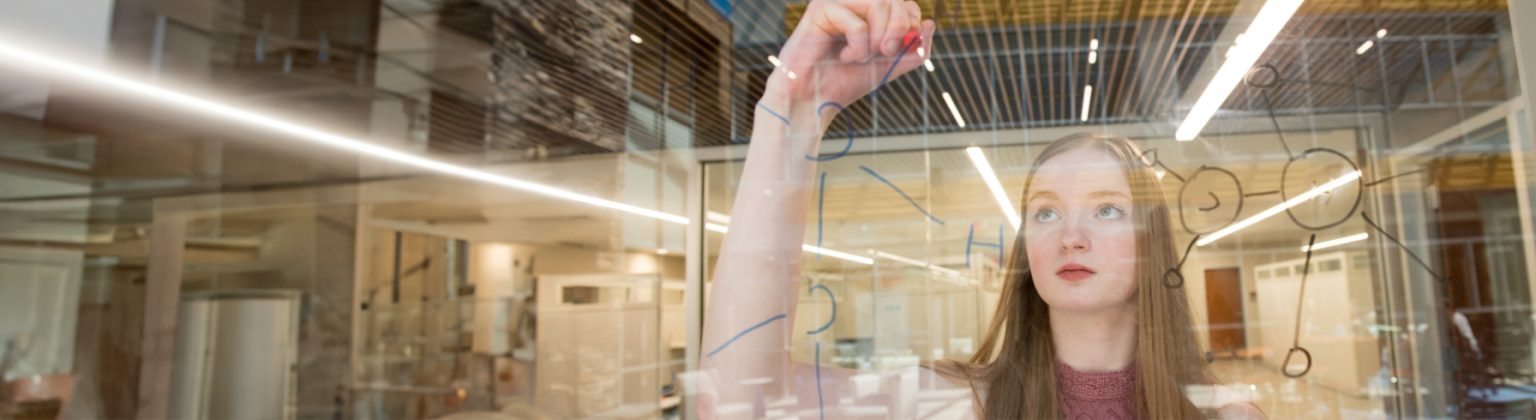 2024-25 School Year Enrollment - CCA