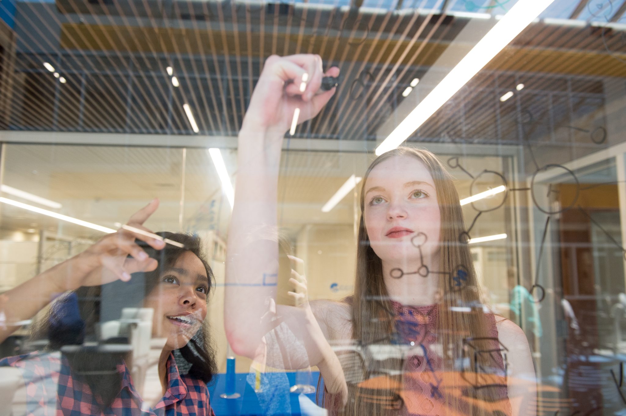 Online Courses for Gifted Students | CCA