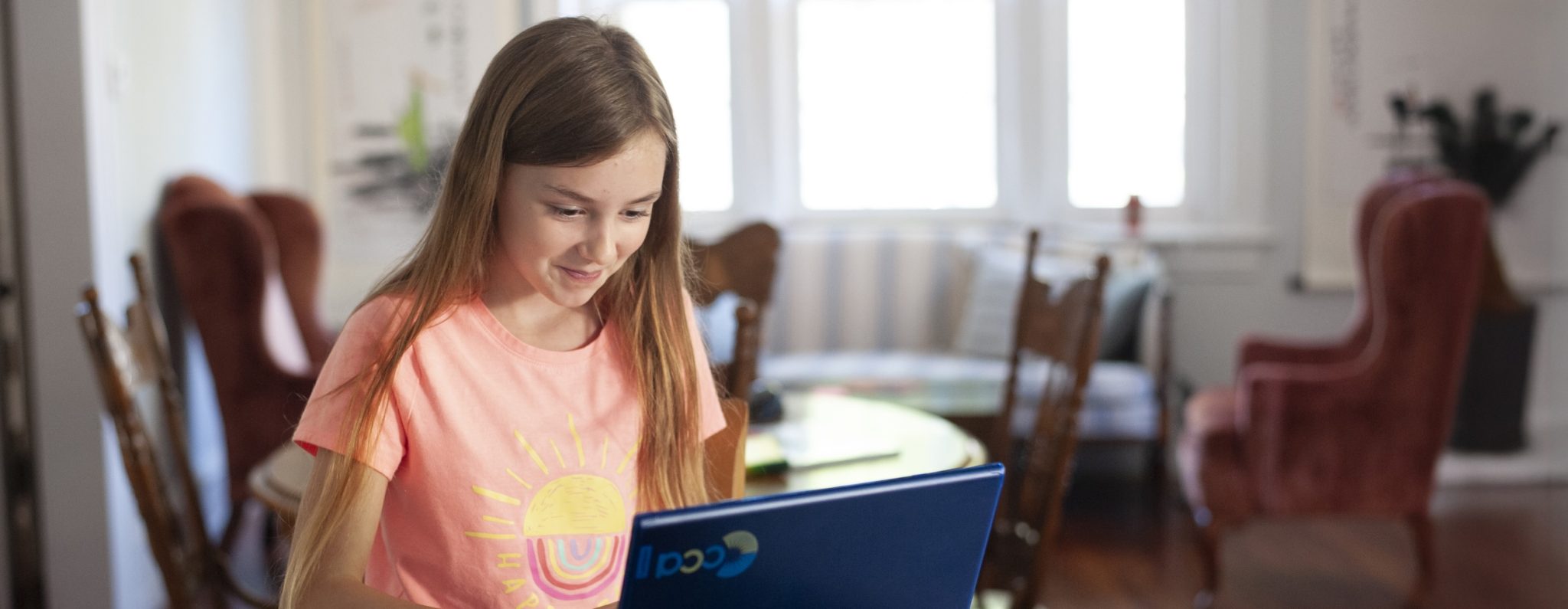 What is a Cyber Charter School? | How CCA Works