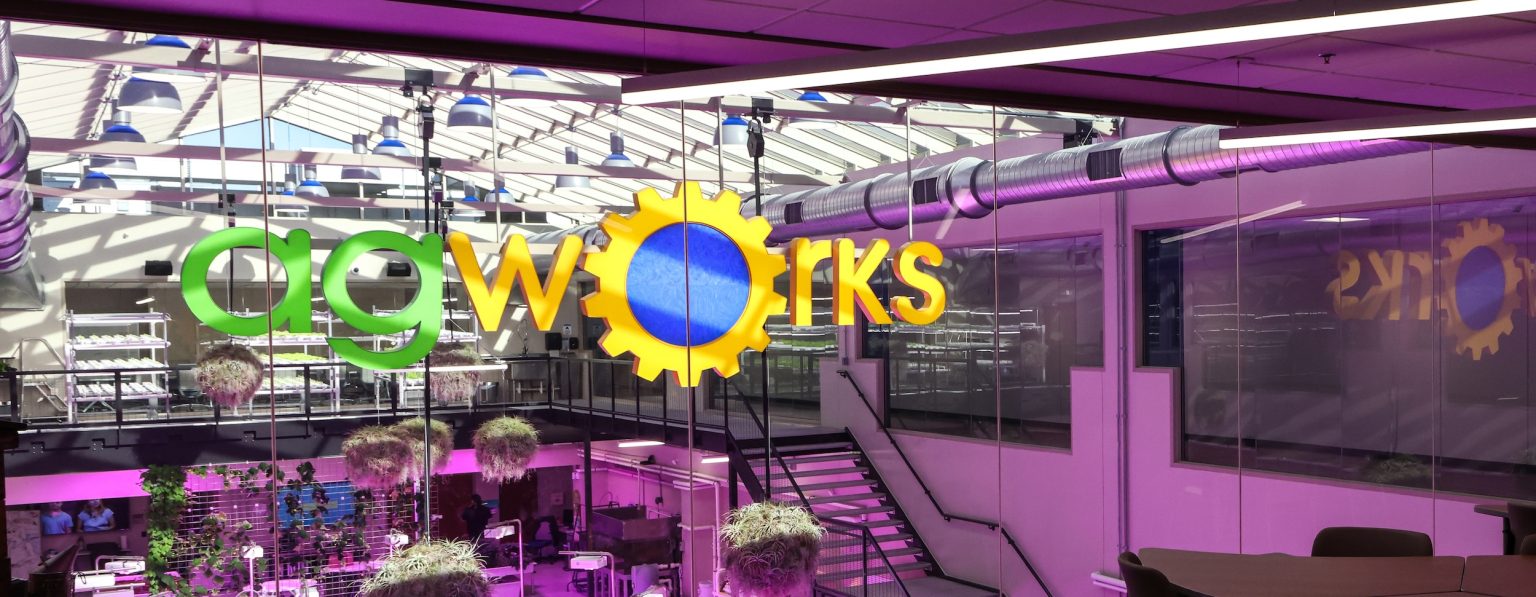 How to Enroll at CCA | Our Online School Enrollment Process