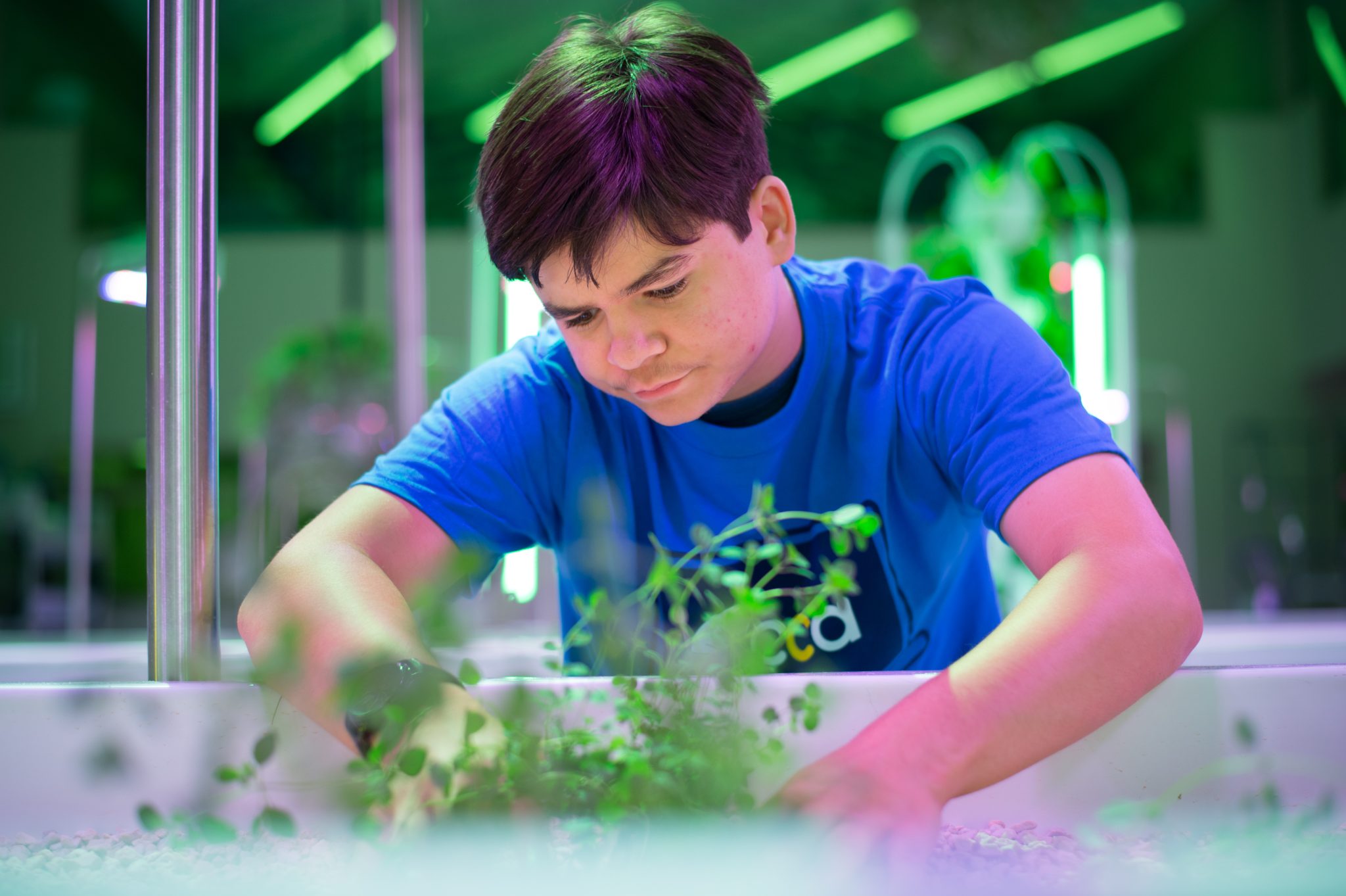 Online Middle School Program | CCA